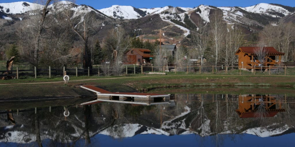 Our favorite Bark City dog parks - TownLift, Park City News