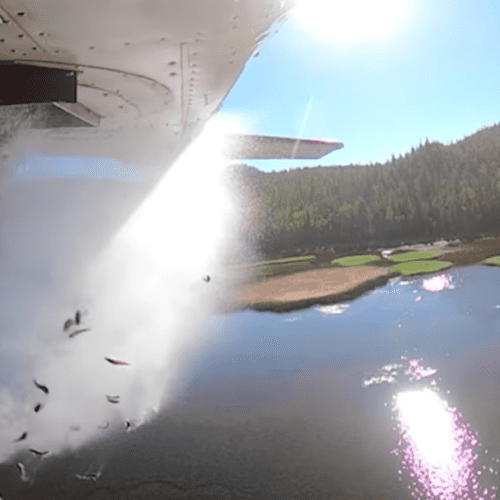 Watch Utah aerial fish stocking - TownLift, Park City News
