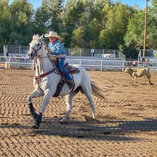 The Little Buckaroo Rodeo at the Summit County Fair - TownLift, Park ...