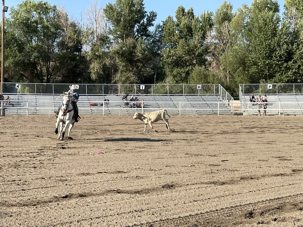 Summit County Fair: Little Buckaroo Rodeo - TownLift, Park City News