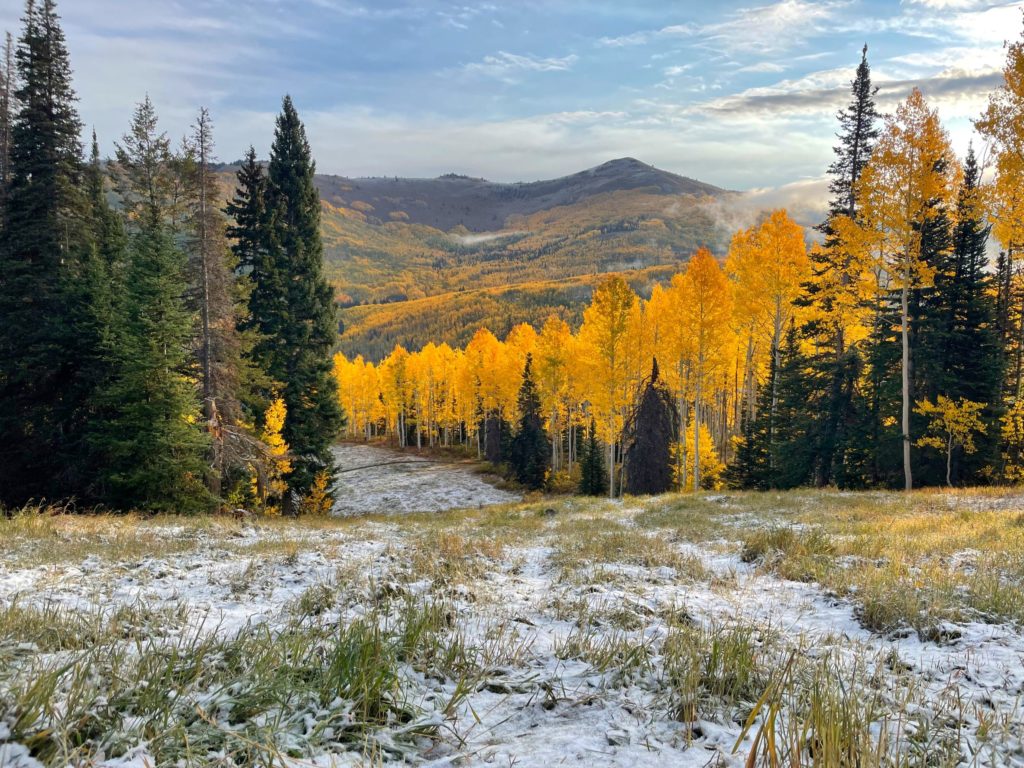 SNAPPED: First look at new Solitude Bike Park - TownLift, Park City News