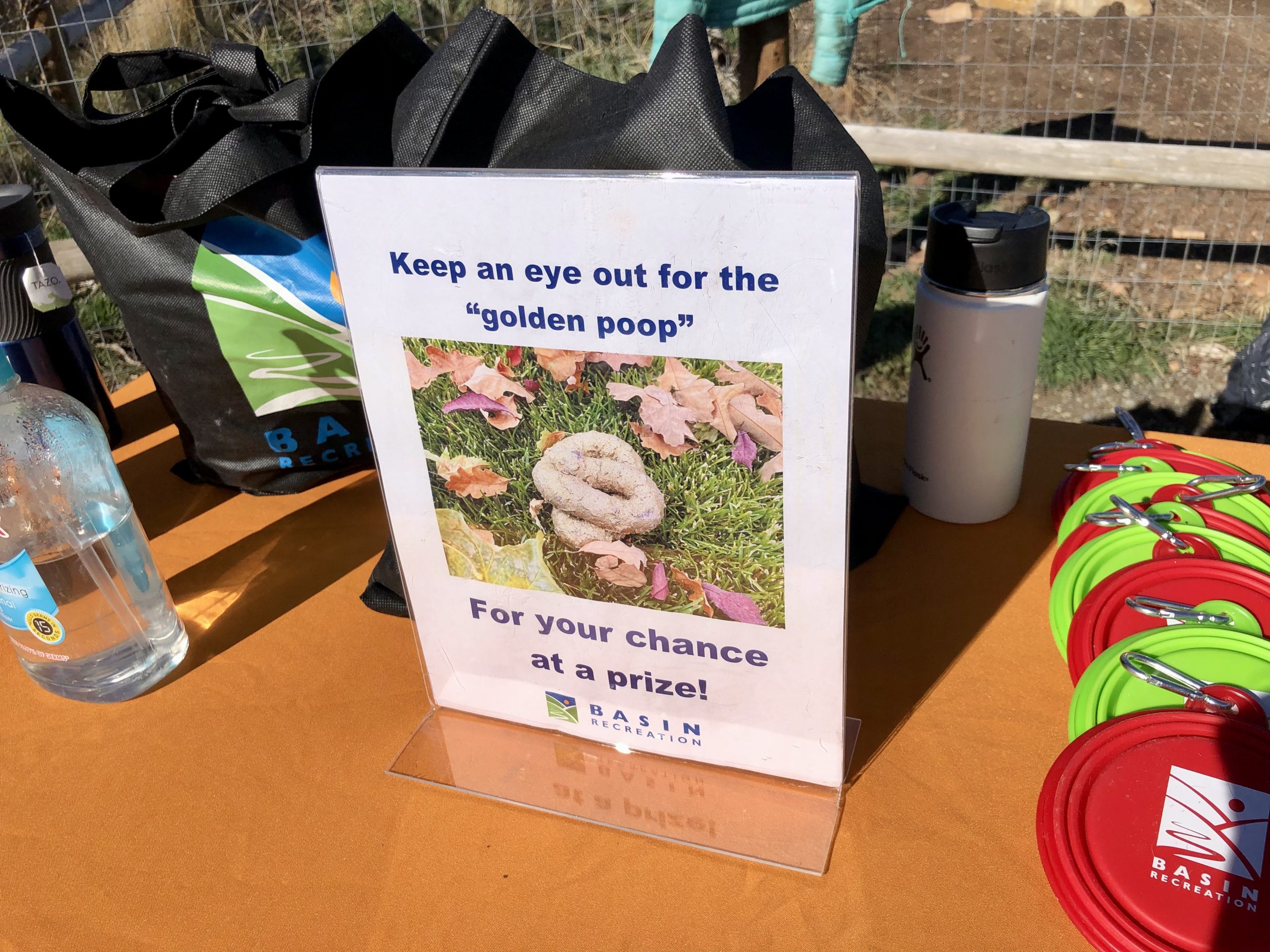 SNAPPED: The Golden Poop at the Run-A-Muk Dog Park - TownLift, Park ...