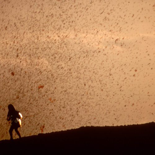 National Geographic acquires Sundance's "Fire of Love" - TownLift, Park ...