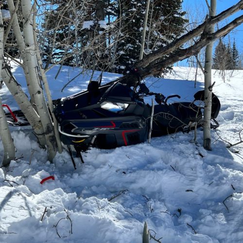 Medical helicopter called after snowmobile-tree collision near ...