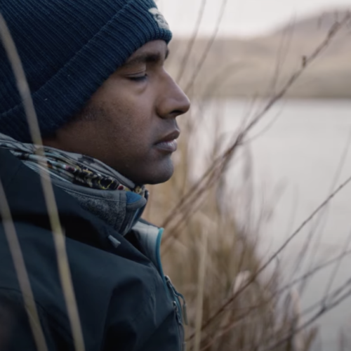 Attack and Release explores a fly fisherman's healing - TownLift, Park ...