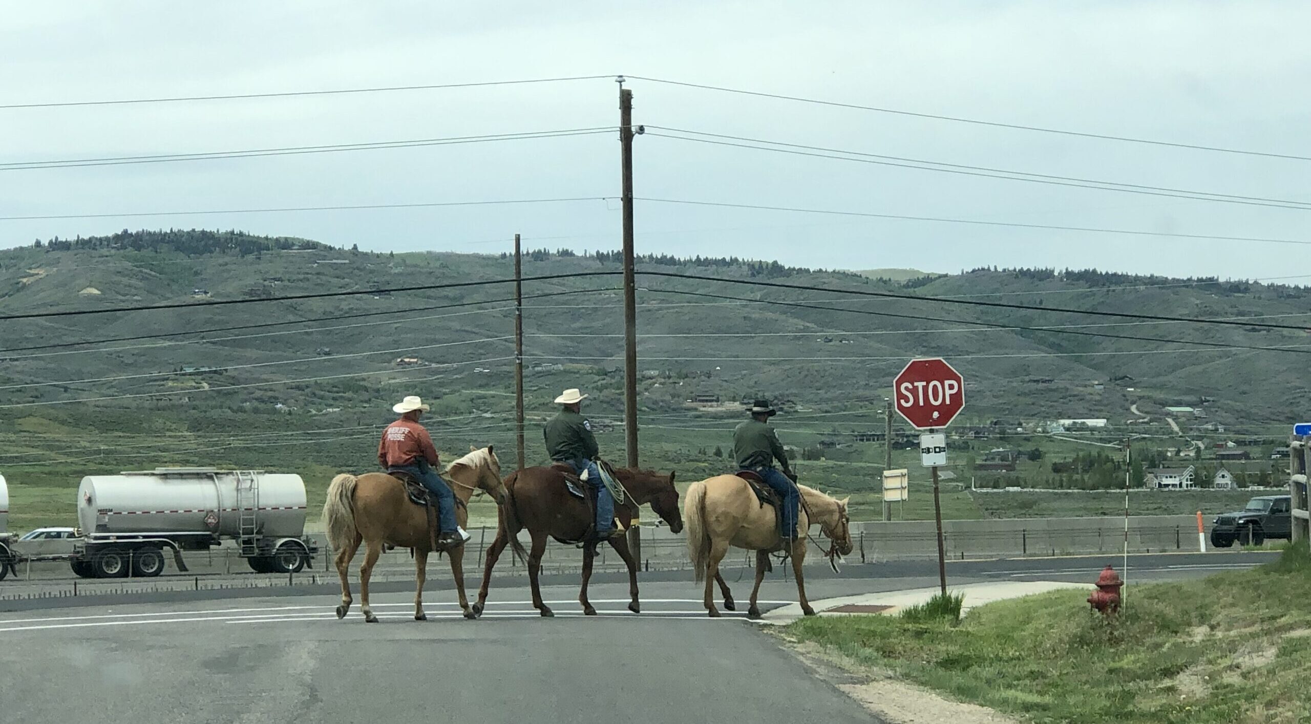 Sheriff's mounted posse patrolling and training around town - TownLift ...