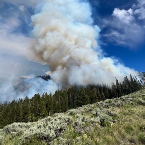 Man arrested for negligence in connection with starting the Jacob City ...