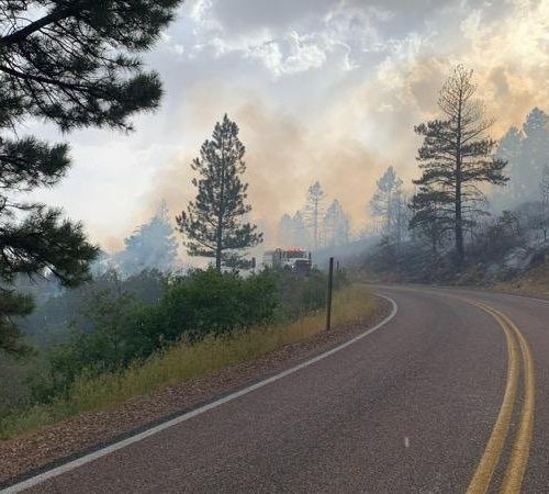 Forest fire closes road in Zion National Park - TownLift, Park City News