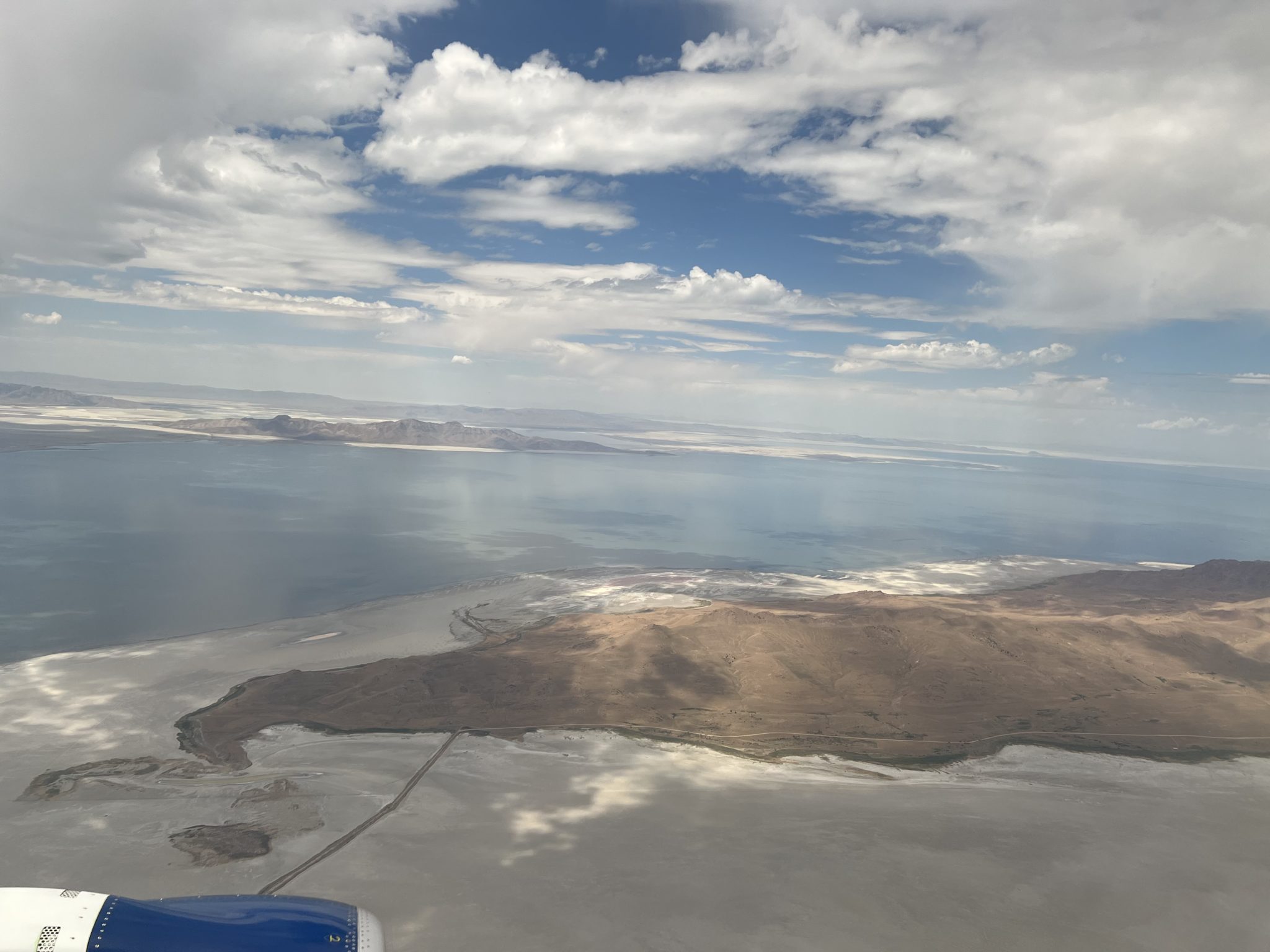 How the California gull became Utah's state bird - TownLift, Park City News