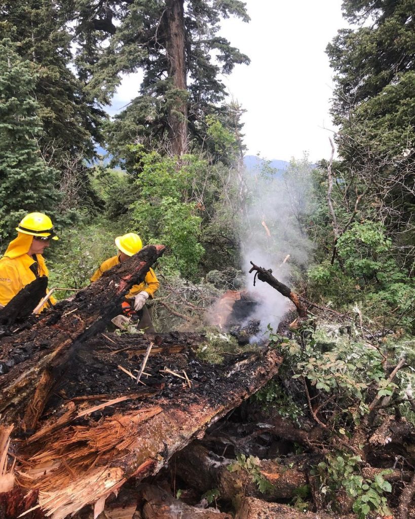 Firefighters jump on multiple tree fires caused by lighting strikes ...