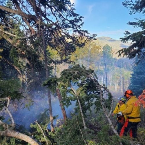Wasatch Fire quickly extinguished lightning fire near Wallsburg ...
