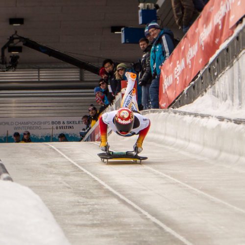 USA podiums in the run up to Park City Bobsled/Skeleton World Cups ...