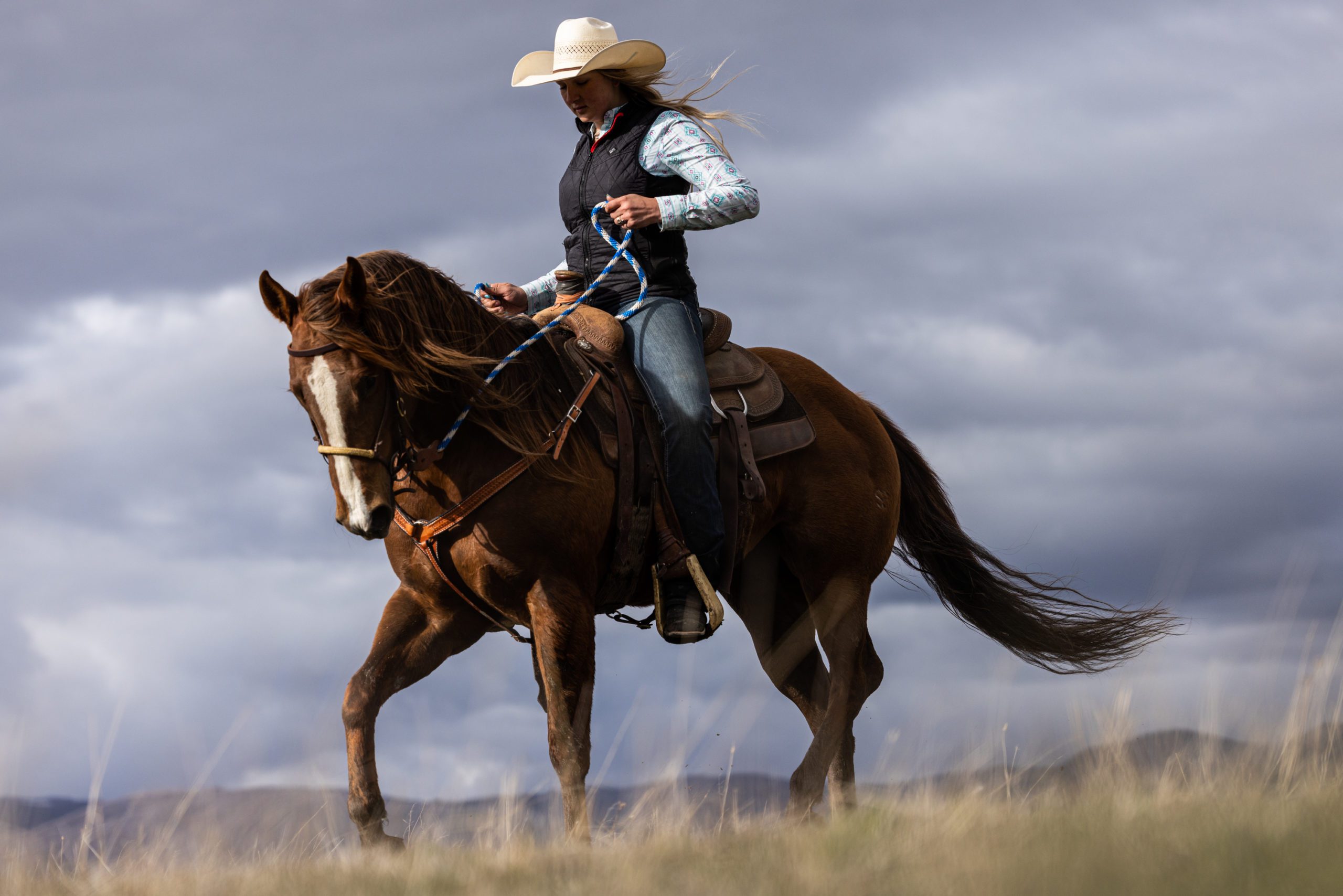 Bolt Ranch Store is the place for all things western - TownLift, Park ...