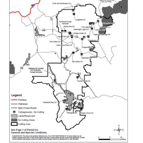 Harvesting Christmas Trees, a yearly tradition for many - TownLift ...