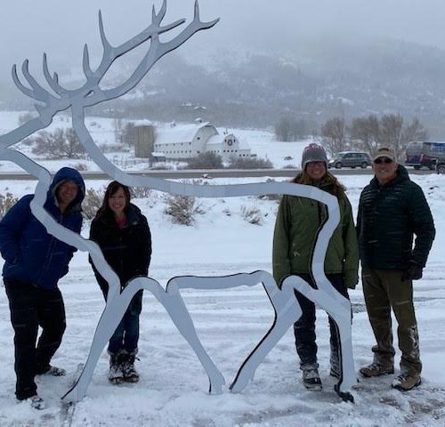 New art installation aims to reduce wildlife collisions on SR-224 ...