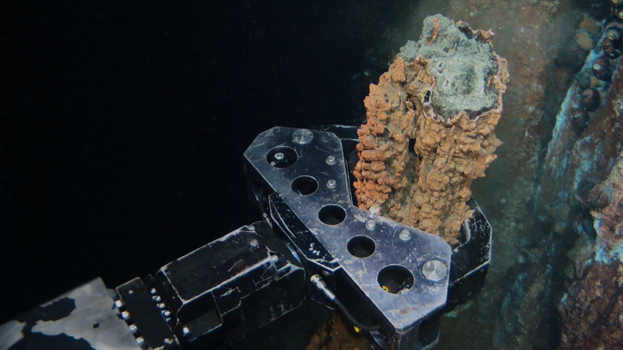 'Deep Rising' explores environmental costs, potential of deep-sea ...