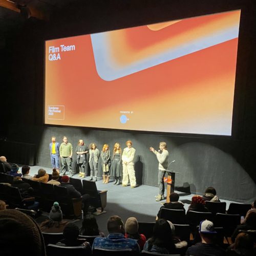 Sundance film at Midnight at The Ray: Birth/Rebirth - TownLift, Park ...