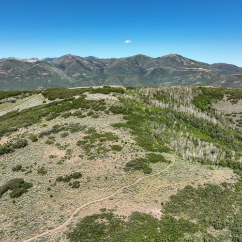 Tiger Woods reveals new 18-hole course design for Park City - TownLift ...