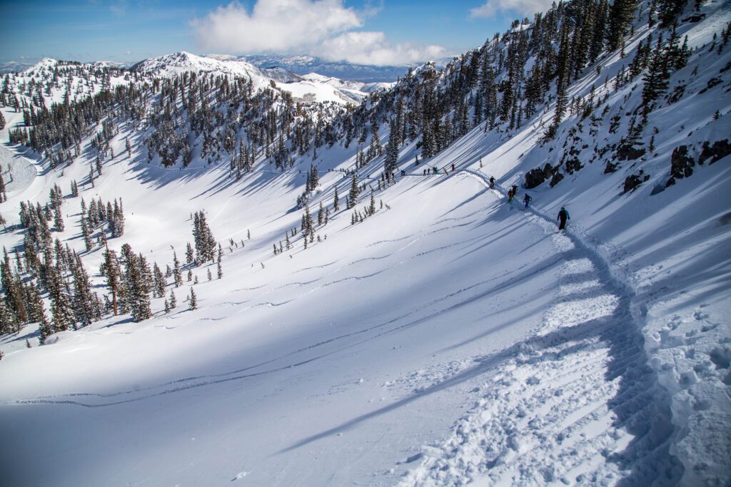 Alta ends historic winter season with over 900″ of snow - TownLift ...