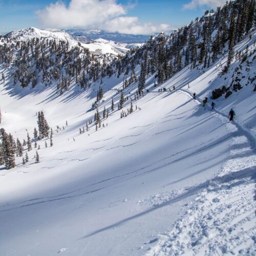Alta ends historic winter season with over 900″ of snow - TownLift ...