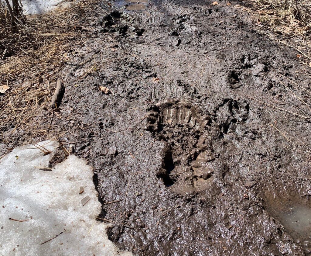 Trail etiquette and soil stewardship tips for this mud season ...