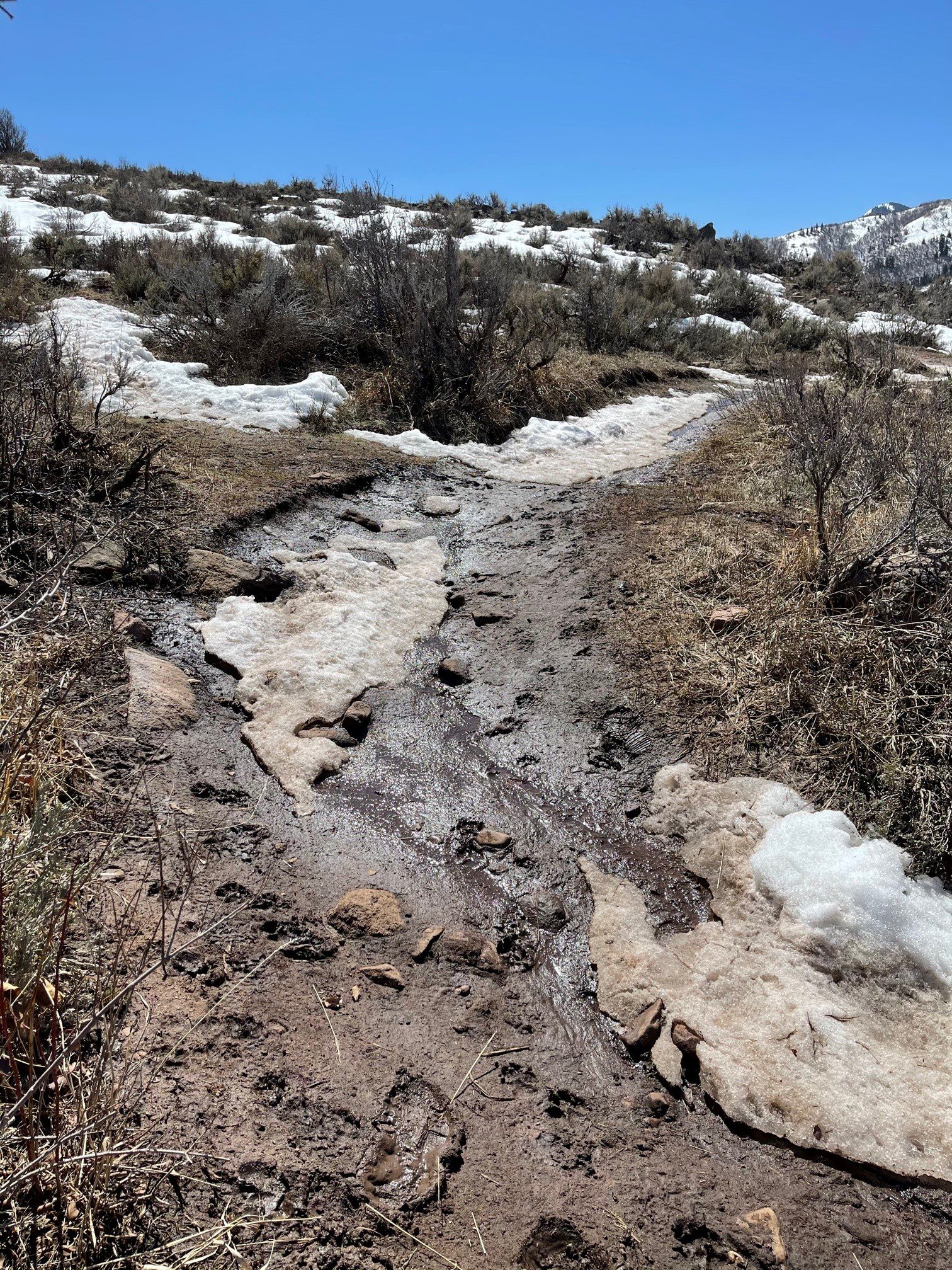 Trail etiquette and soil stewardship tips for this mud season ...