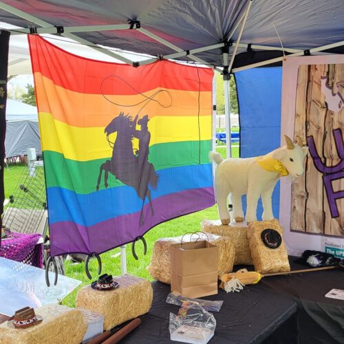 Utah hosts Gay Rodeo Regionals - TownLift, Park City News