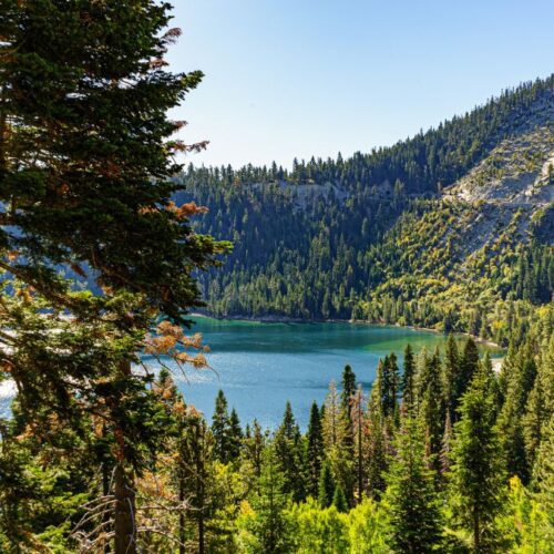 A travel guide’s warning to avoid Lake Tahoe may jolt the region into ...
