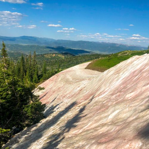 'Watermelon snow' piques curiosities in Utah after abnormally wet ...