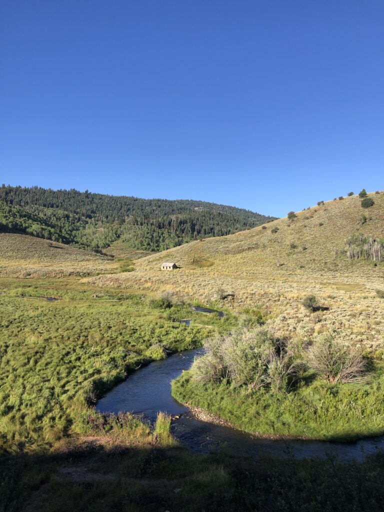 Unlocking the future of 910 Cattle Ranch: History, plans, and public ...