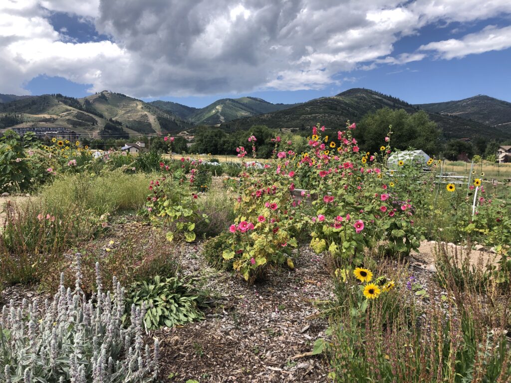 Applications open for Summit County's Recreation and Arts Grants ...
