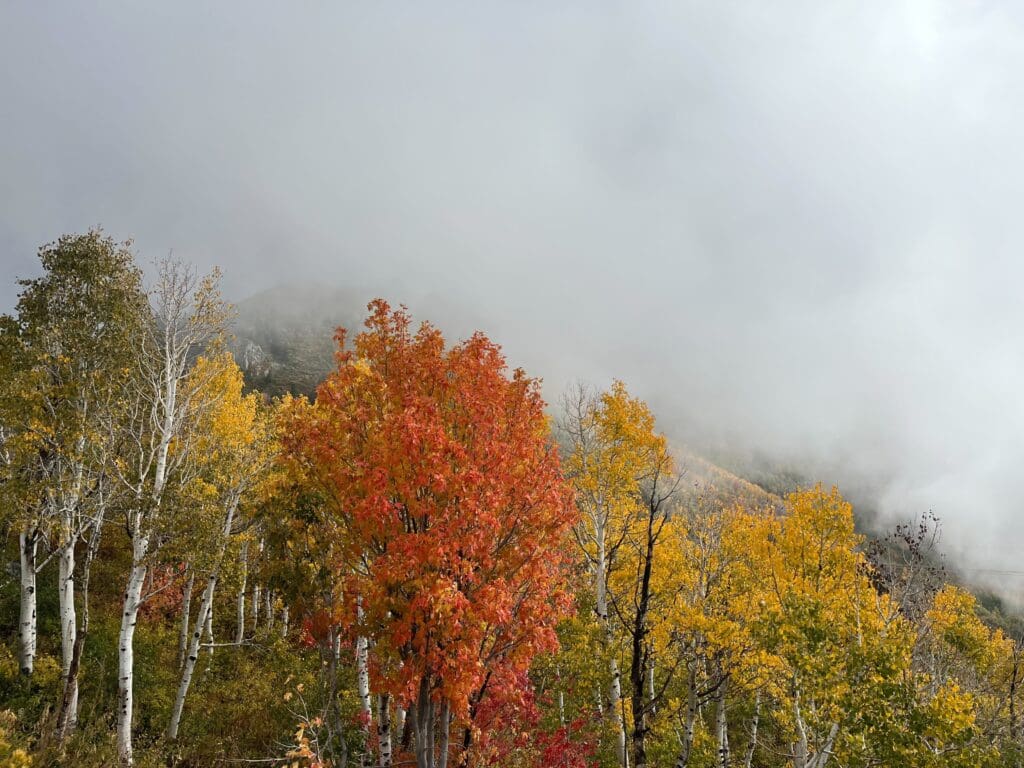 Park City's favorite places to see fall colors, according to you ...