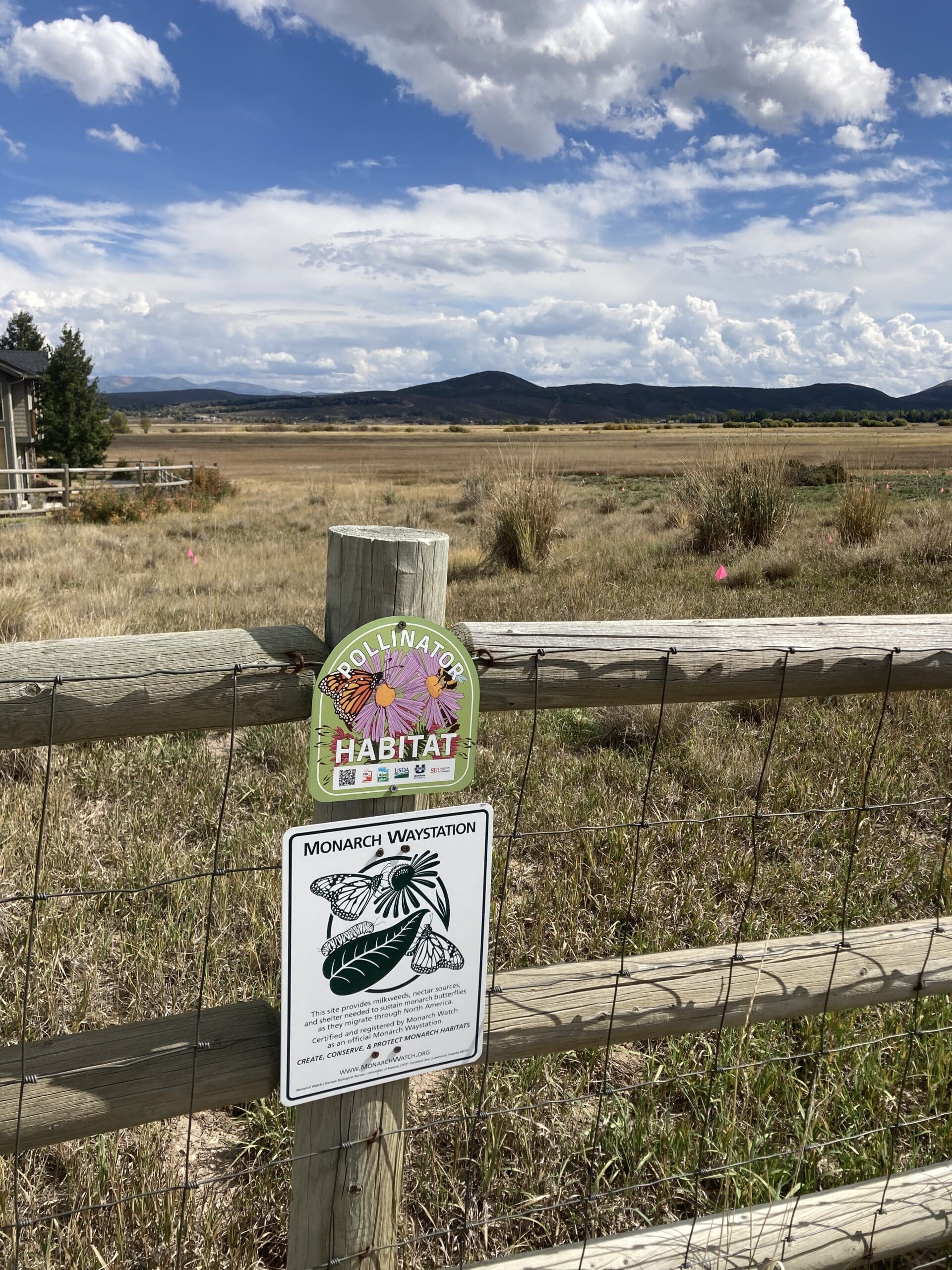 Swaner's monarch butterfly way station and how you can help - TownLift ...