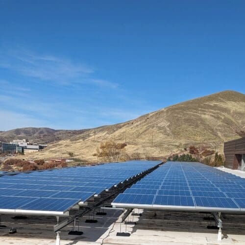 Natural History Museum opens new Climate Of Hope exhibit - TownLift ...