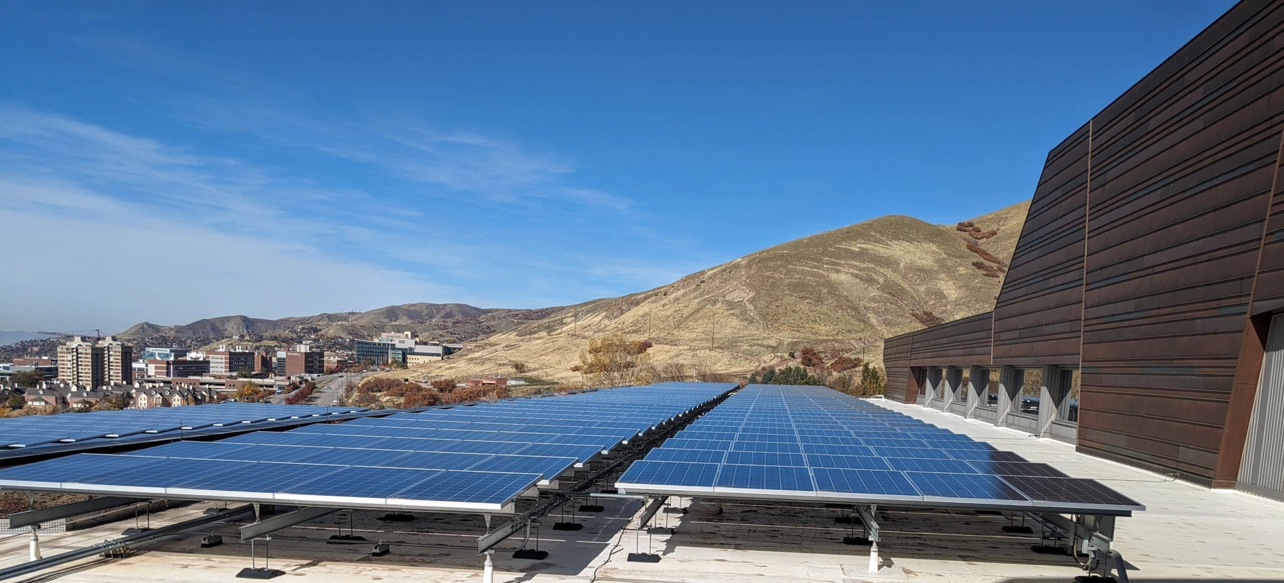 Natural History Museum opens new Climate Of Hope exhibit - TownLift ...