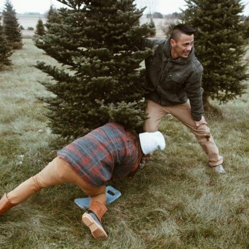 You Can Cut Your Own Christmas Tree But Know Before You Go Townlift