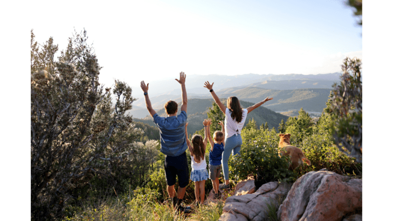 Water, roads, trail, and snow: The Driscoll family wolf pack - TownLift ...