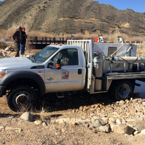 DWR stocks record number of fish across Utah in 2023 - TownLift, Park ...