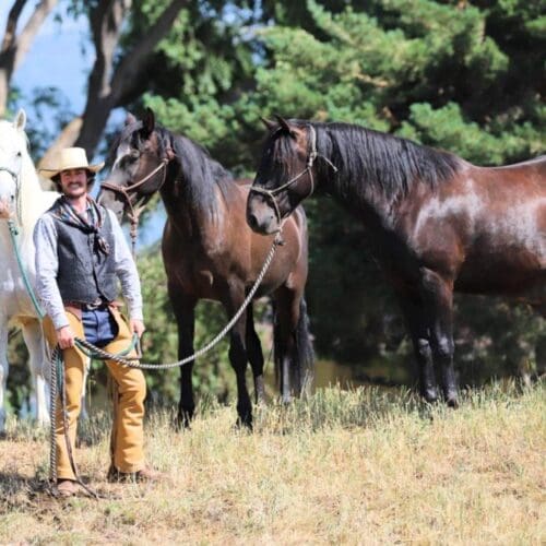 Heber City native continues his 'Year of the Mustang' - TownLift, Park ...