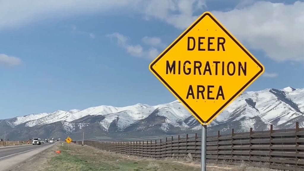 DWR, UDOT and other partners complete 7 wildlife migration structures ...