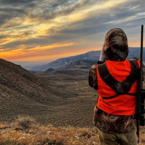 Utah's new wildlife bills bolster outdoor safety and conservation, make ...