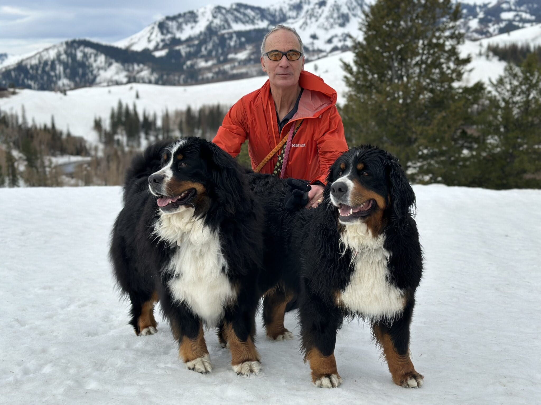 Panel to decide on Matthew Prince's mansion as national interest peaks ...