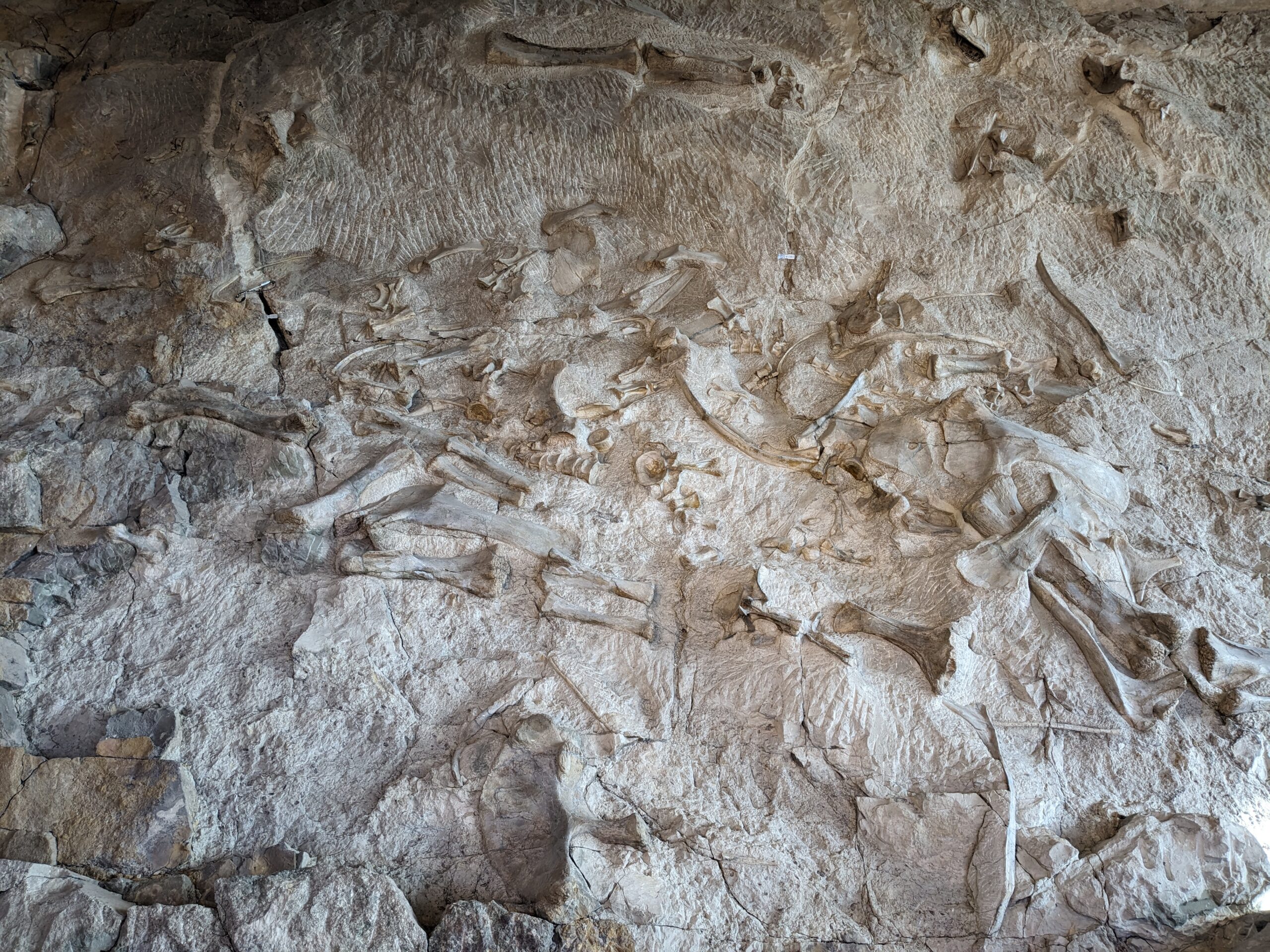 Hiking through Utah's prehistoric past - TownLift, Park City News