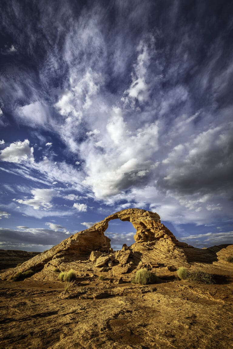 Richard D. Pick shows off the magic of light this July - TownLift, Park ...