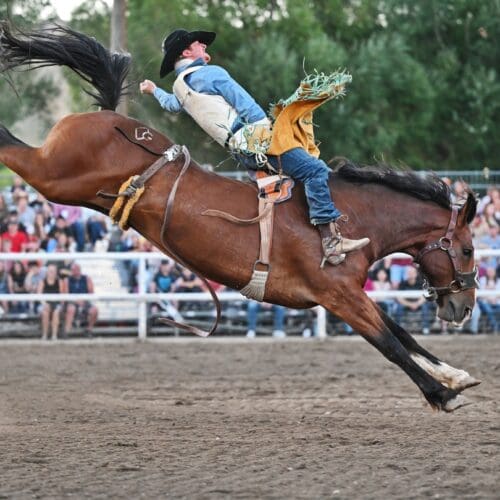 Tickets now on sale for 2024 Demolition Derby and PRCA Rodeo - TownLift ...