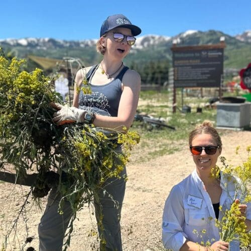 Park City Chamber and Summit Land Conservancy dig in for Miss Billies restoration - TownLift ...