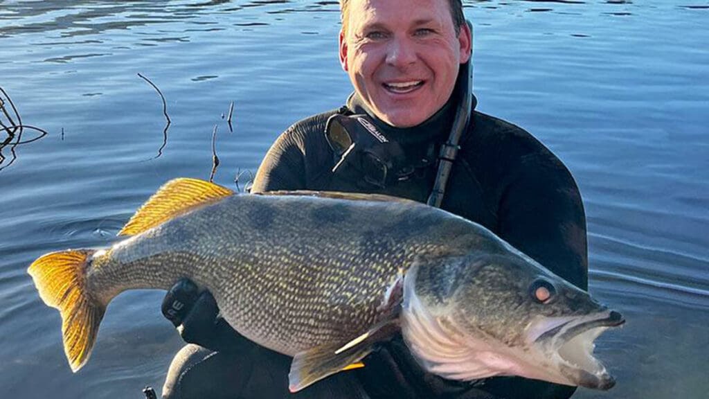 Spear fisherman catches 13-pound Walleye at Deer Creek Reservoir ...