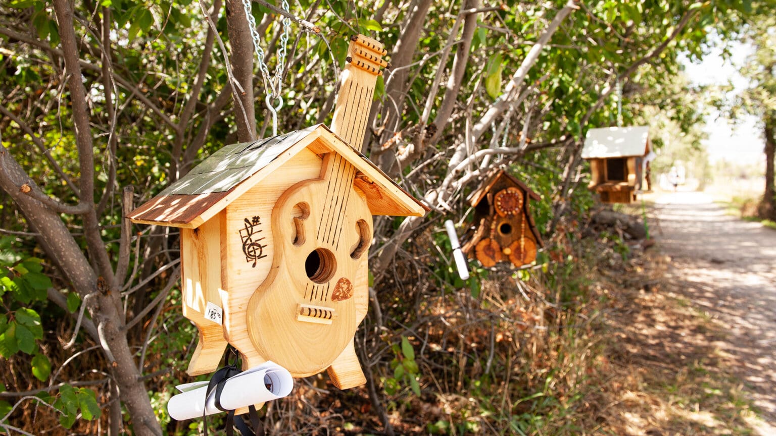 SNAPPED: Art on the Trails blends art and nature on McLeod Creek ...