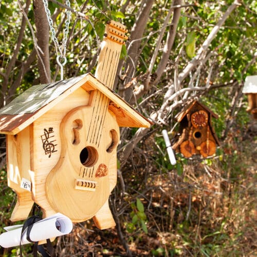 SNAPPED: Art on the Trails blends art and nature on McLeod Creek ...