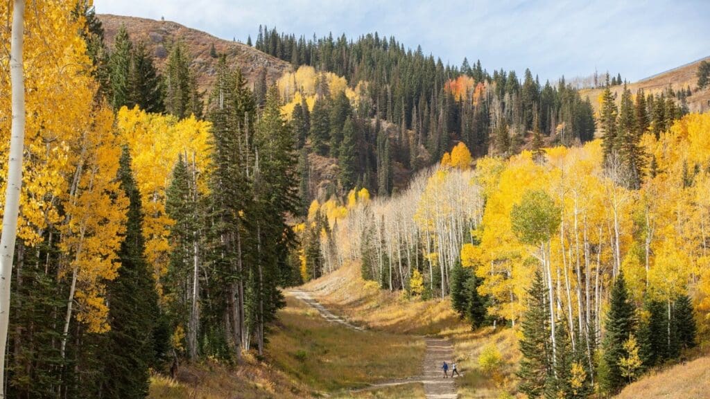 Park City's favorite places to see fall colors, according to you ...